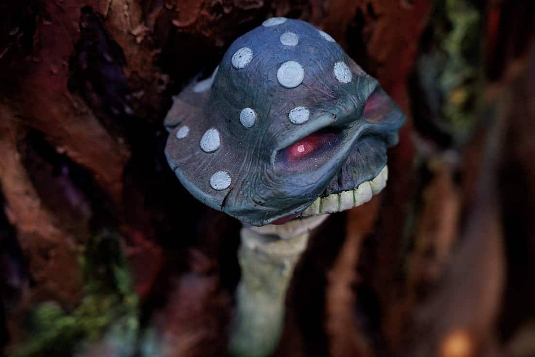 Turnkey escape room The Enchanted Forest - INDESTROOM