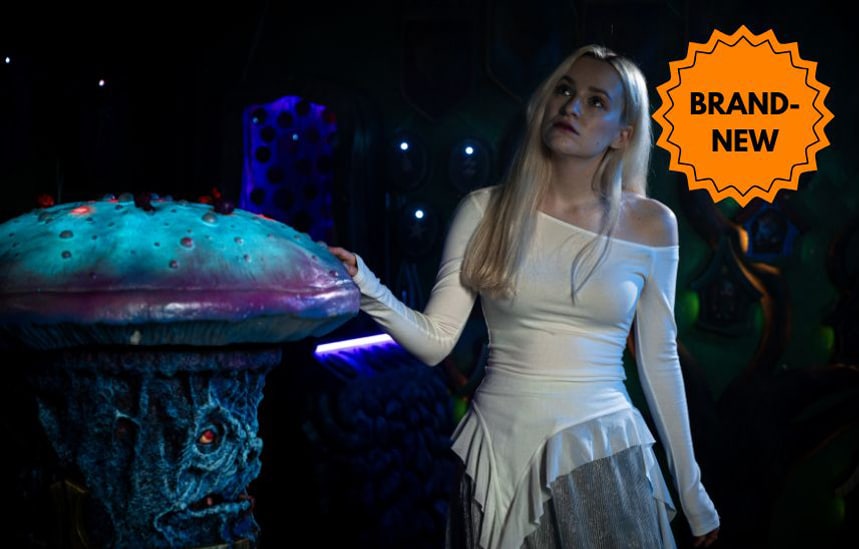 Turnkey escape room The Enchanted Forest - INDESTROOM